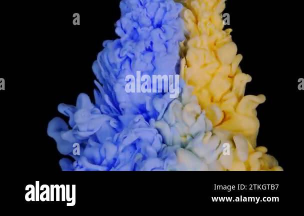 Arcrylic paints of different colors dissolve in water on a black ...