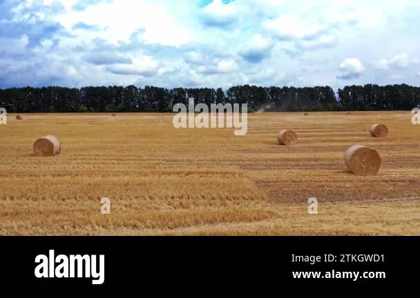 Twisted straw in rural Stock Videos & Footage - HD and 4K Video Clips ...