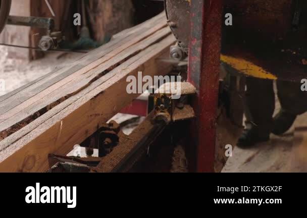 The process of processing pine wood on a sawmill at a wood production plant. Production process ...