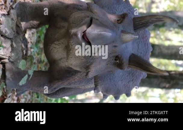 Predatory dinosaurs. A model of a horned dinosaur that hunts in the ...