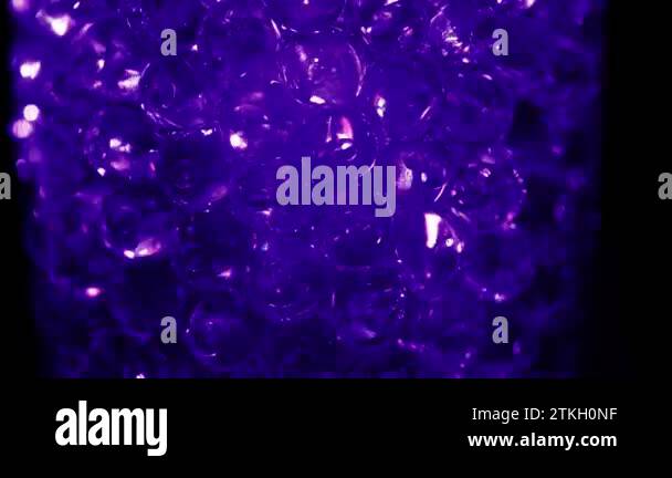 Animation of early embryonic development. Conceptual microbiology in ...