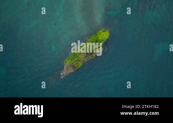 Birds eye shot of green vegetation on Isla Cocles. Descending footage ...