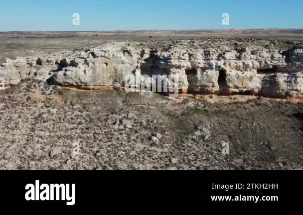 Predatory pose Stock Videos & Footage - HD and 4K Video Clips - Alamy