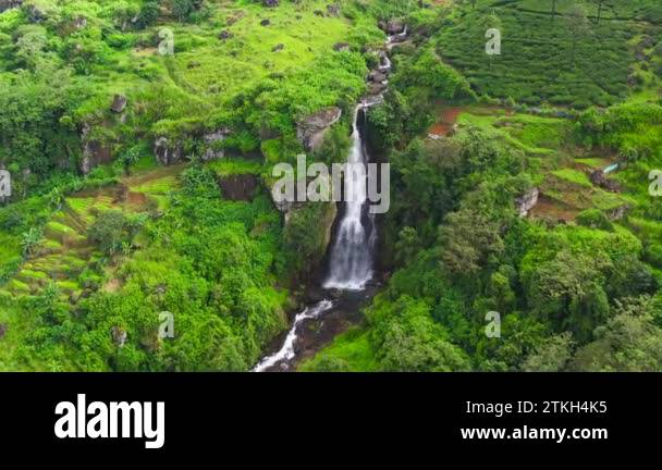 Beautiful waterfall and tea estate in Sri Lanka. Ramboda Falls Stock ...