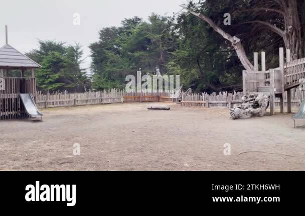 Neglected park Stock Videos & Footage - HD and 4K Video Clips - Alamy