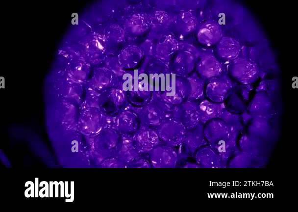 The concept of the ovum. Animation of early embryonic development. Cell ...