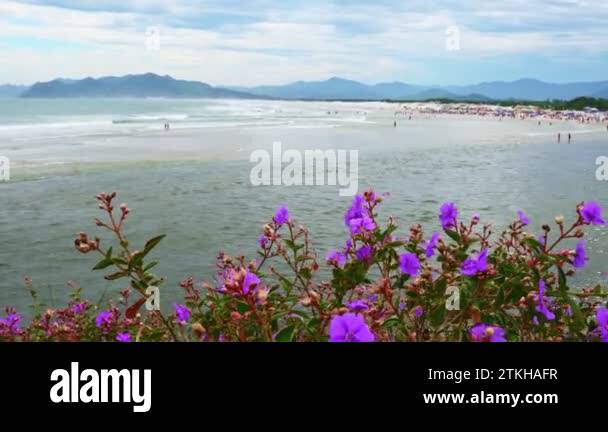 Guarda do embau beach Stock Videos & Footage - HD and 4K Video Clips ...