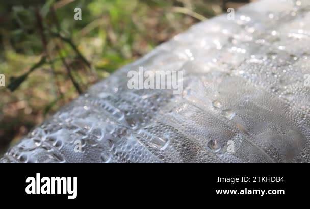 Uv damage plastic Stock Videos & Footage - HD and 4K Video Clips - Alamy