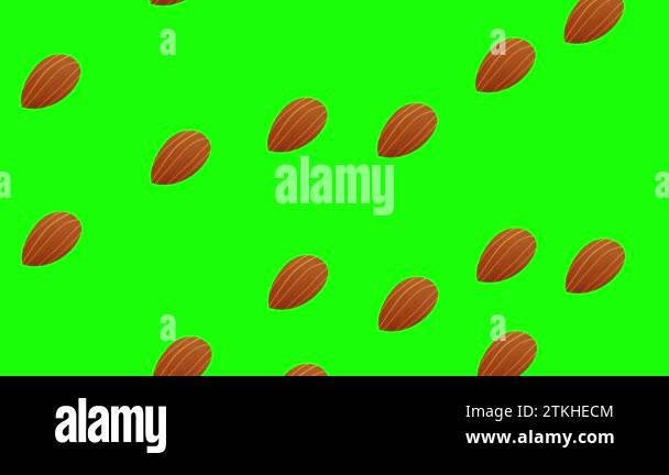 Almond falling 4k animation with green screen, almond fruit animation ...