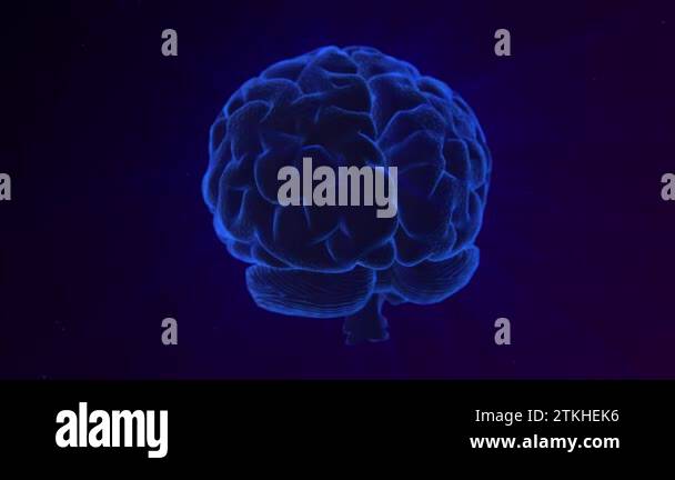 3D human brain made of high-tech linear grid with motion camera effect ...