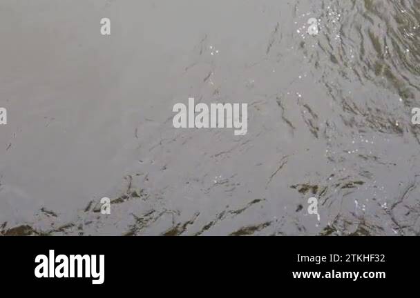 Opaque water surface Stock Videos & Footage - HD and 4K Video Clips - Alamy