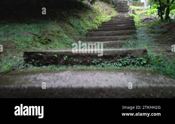 Green bright grass stairs Stock Videos & Footage - HD and 4K Video ...