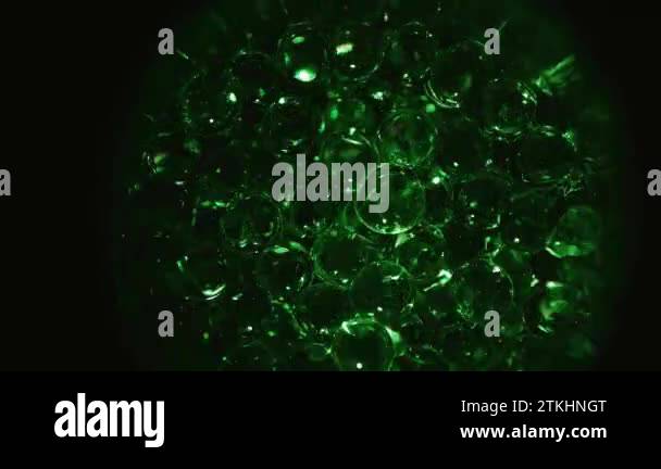 Cell division, formation of morula and embryo. The concept of the ovum ...