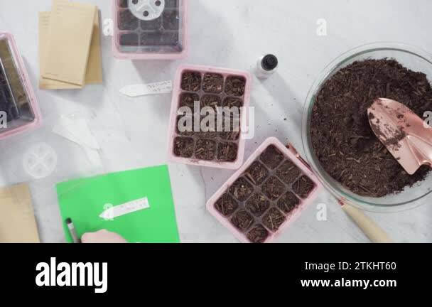 Flat seed Stock Videos & Footage - HD and 4K Video Clips - Alamy