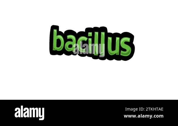 White screen animation video written BACILLUS Stock Video Footage - Alamy