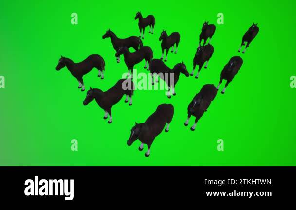 3D animation of a group of horses on a farm high angle chroma green ...