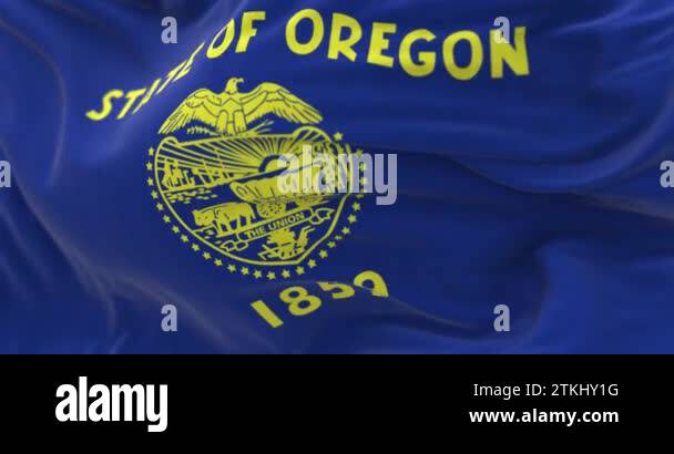 Beaver coat of arms Stock Videos & Footage - HD and 4K Video Clips - Alamy