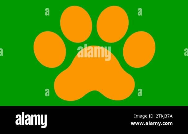Animated cat orange footprint. A cat's paw print appears. Looped video ...
