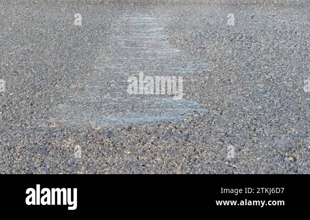 Steam compactor Stock Videos & Footage - HD and 4K Video Clips - Alamy