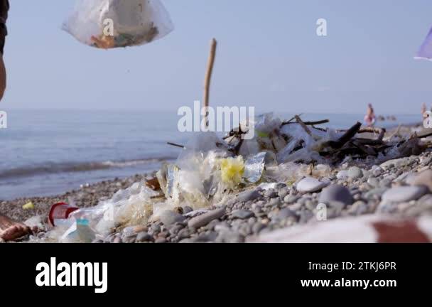 Volunteer activists collect garbage, clean coastal area of beach. Man ...