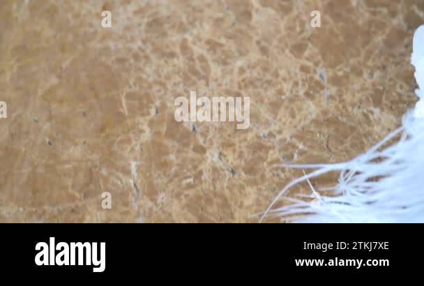 Unity in simplicity Stock Videos & Footage - HD and 4K Video Clips - Alamy