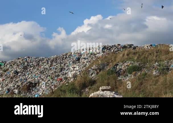 Trash garbage waste Stock Videos & Footage - HD and 4K Video Clips - Alamy