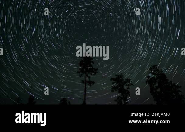 Time lapse of comet-shaped star trails over the forest in the night sky ...