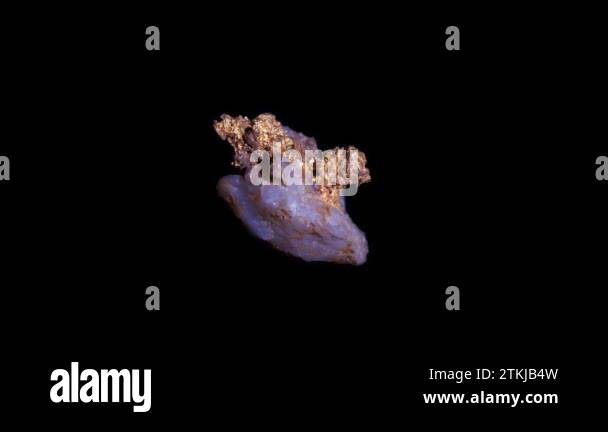 Gold in quartz Stock Videos & Footage - HD and 4K Video Clips - Alamy