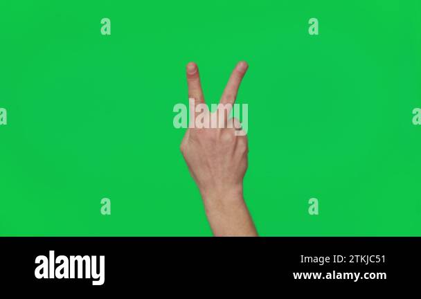 Mans hand shows gestures and signs of victory on a chroma key green ...