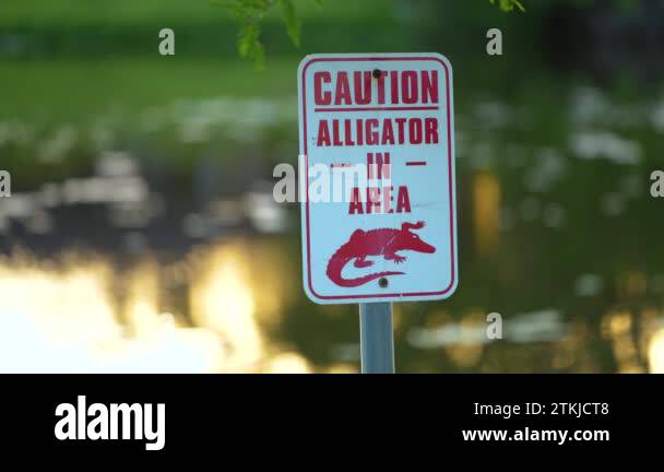 Danger warning hazard gator sign notice Stock Videos & Footage - HD and ...