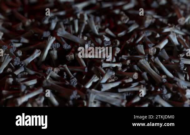 Gothic remains anatomy Stock Videos & Footage - HD and 4K Video Clips ...