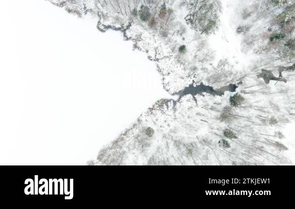 Beautiful aerial top-down view of snow covered pine forests around ...