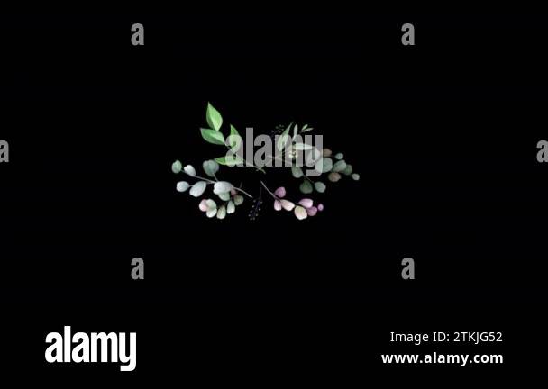 beautiful leaf animation Loop animation transparent background with an ...