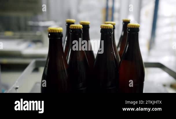 Capping process of full beer bottles. Machine for capping bottles ...