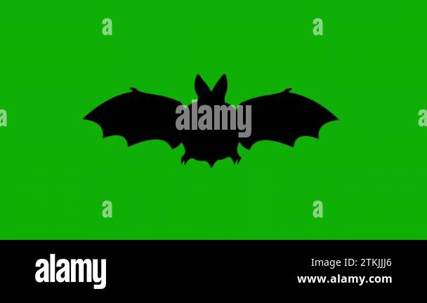 Bat with fluttering wings on green screen background Stock Video ...
