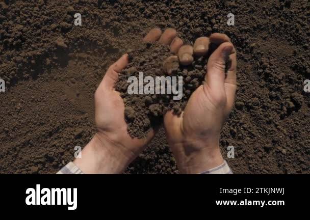 Hands full of earth Stock Videos & Footage - HD and 4K Video Clips - Alamy