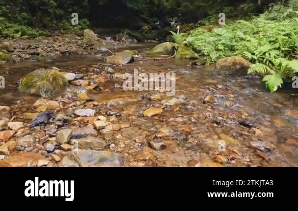 Slow flight over a fast mountain river , blue cold water in a mountain ...