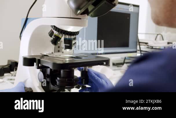 The doctor examines the sperm samples under a microscope. Scientist in ...