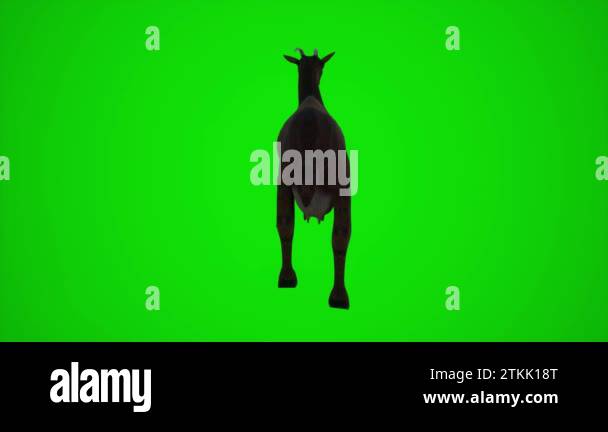 3D animation of a brown goat in the nature of America from the angle ...