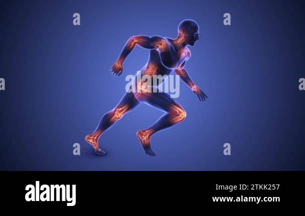 3d body joints Stock Videos & Footage - HD and 4K Video Clips - Alamy