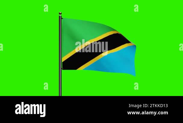 3D Rendered Tanzania National Flag Waving Animation with Realistic Wind ...