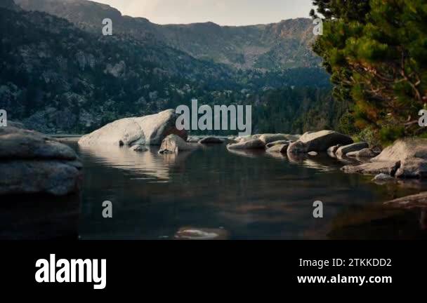 Water conservation landscape Stock Videos & Footage - HD and 4K Video ...