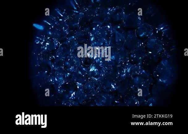 Cell division, formation of morula and embryo. The concept of the ovum ...