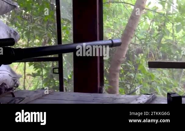 Muzzle of a machine gun Stock Videos & Footage - HD and 4K Video Clips ...