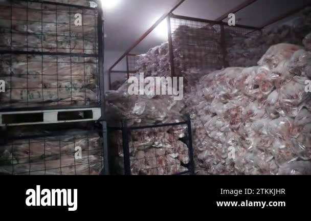 Food processing industry. Fresh slaughtered sheep carcasses stored in ...
