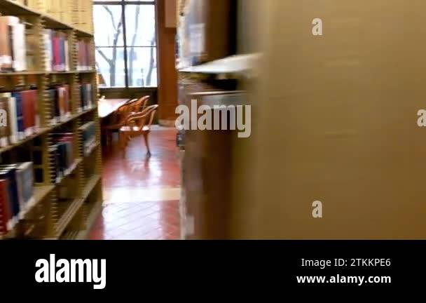 Tourist attraction study Stock Videos & Footage - HD and 4K Video Clips ...