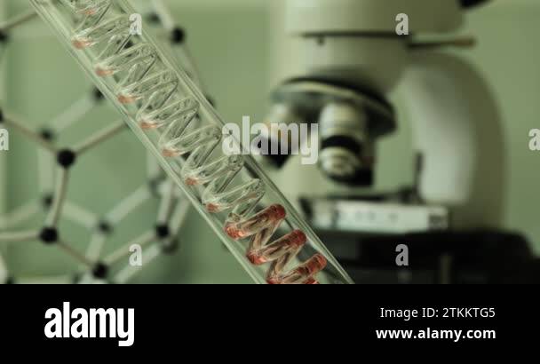 Laboratory setup with blood liquid flowing through spiral plastic tube ...