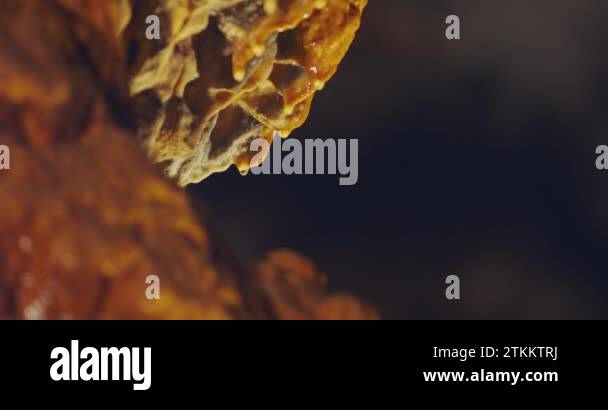 Stalactite Stock Videos & Footage - HD and 4K Video Clips - Alamy