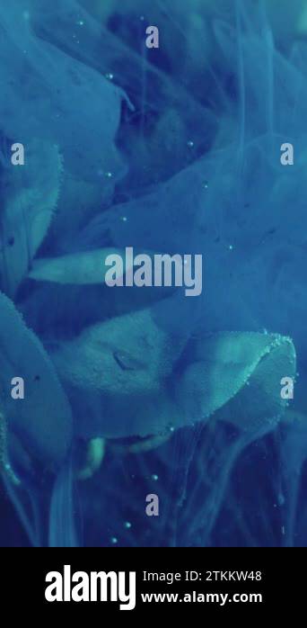 Vertical video. Flower smoke. Ink water splash. Underwater plant. Blue ...