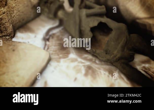 Ancient egyptian relic Stock Videos & Footage - HD and 4K Video Clips ...